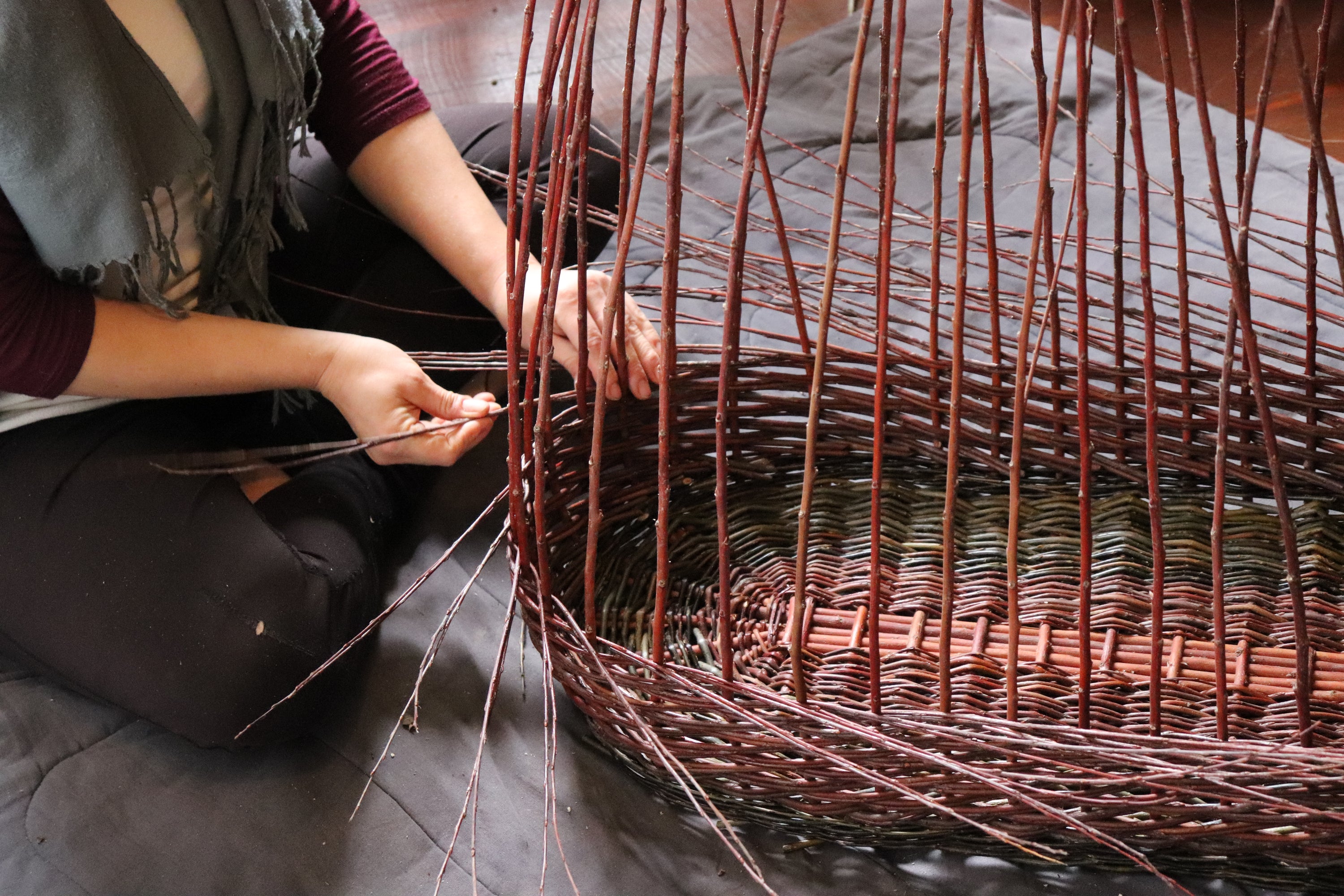 Collections – Summer Beam Books