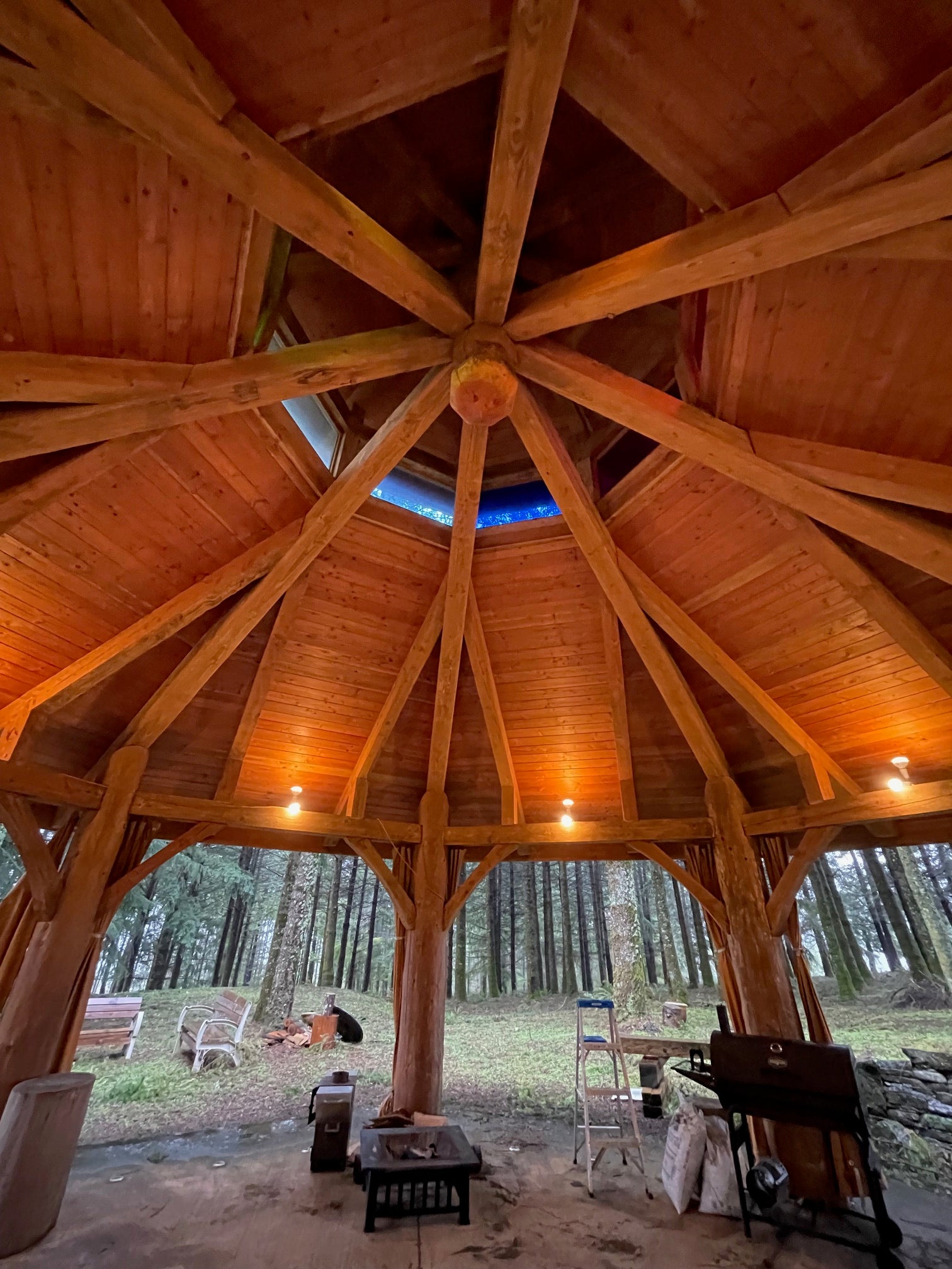 Collections – Summer Beam Books