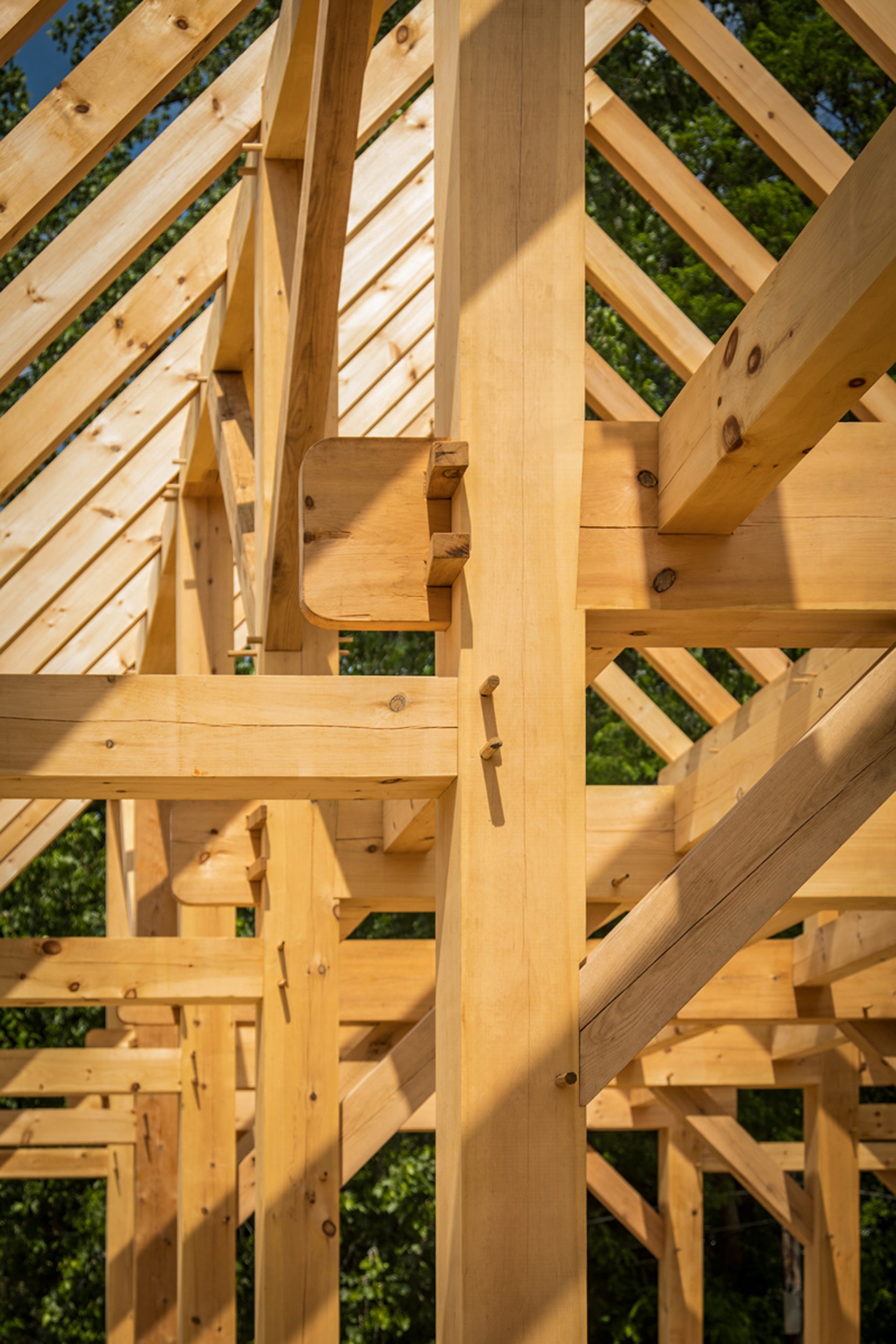 Timber Framing – Summer Beam Books