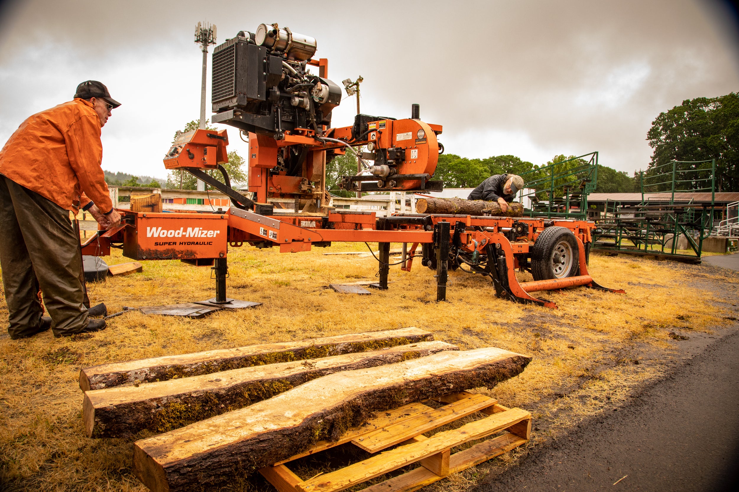 Logging, Forestry, Arbor Craft, Trees – Summer Beam Books