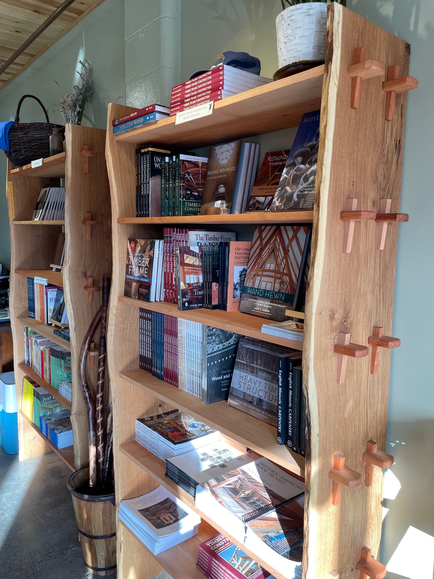 Collections – Summer Beam Books