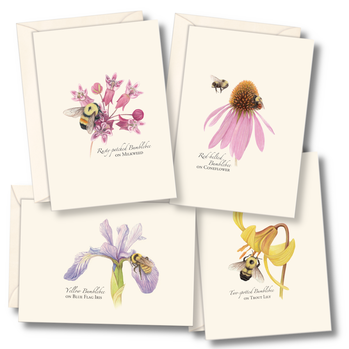 Bumblebee Assortment Notecard Set – Summer Beam Books