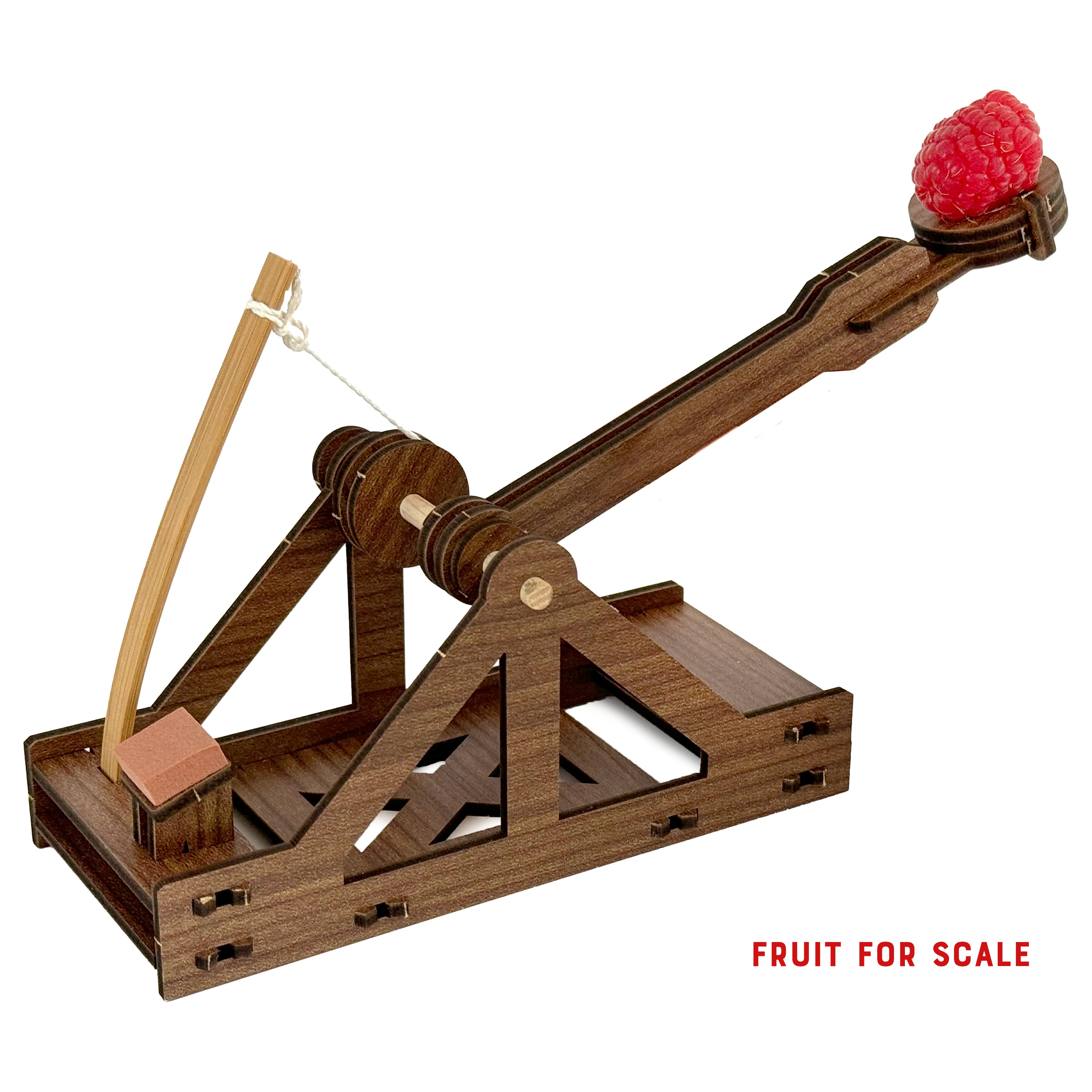 Mini Catapult : Wooden Engineering Model Building Kit – Summer Beam Books