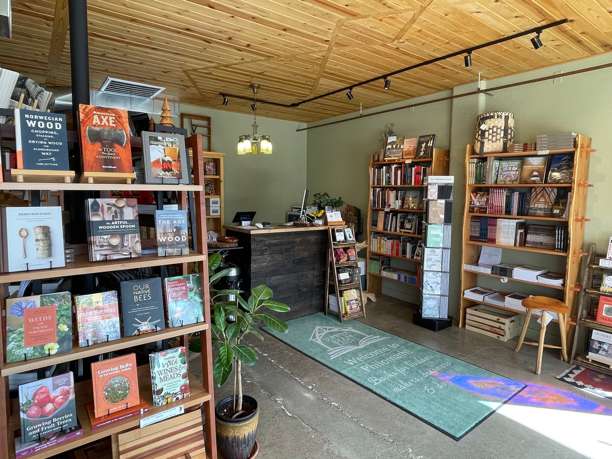Summer Beam Books